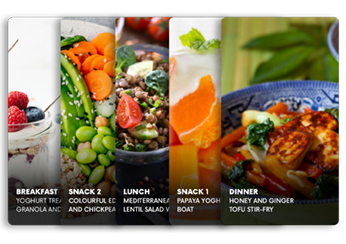 Use Your DNA to Reveal Your Best Self | myDNA